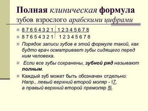 4 Common Types of Dental Formulas